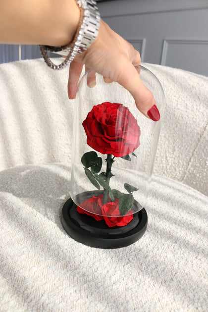 The Enchanted Rose Dome - Red - Melbourne & Worldwide – Cartel Flowers